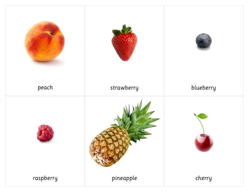 Types of Fruit Montessori 3 Part Cards - Etsy Canada
