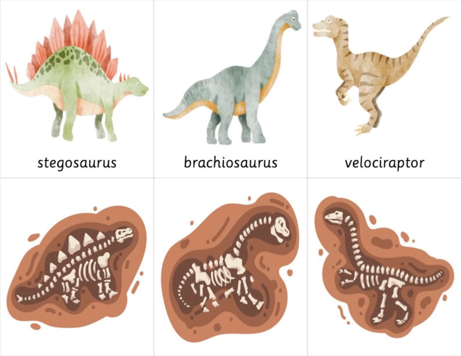Dinosaur Fossil Identification Cards - Etsy