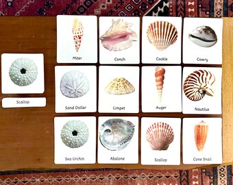 Marc Chagall Montessori Three Part Cards and Artist Bio - Etsy