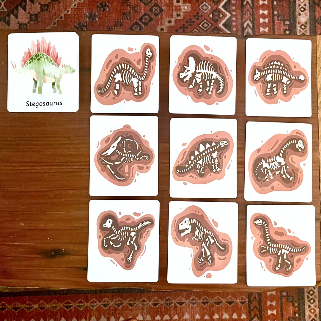 Dinosaur Fossil Identification Cards - Etsy
