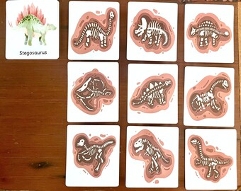 Dinosaur Fossil Identification Cards - Etsy
