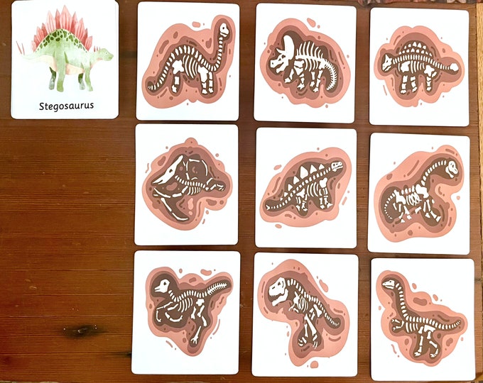 Fossil Identification Cards - Etsy Canada