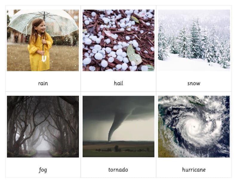 Weather Montessori 3 Part Cards - Etsy