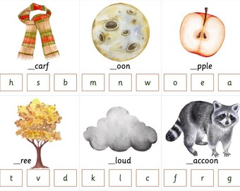 School Beginning Letter Sound Clip Cards| Printable Digital Download ...