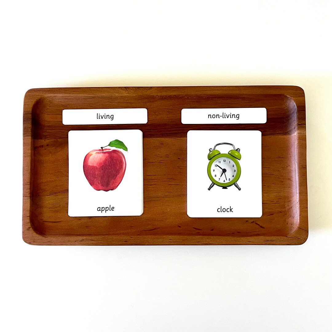 Montessori Classification Cards - Living & Non-living - Etsy