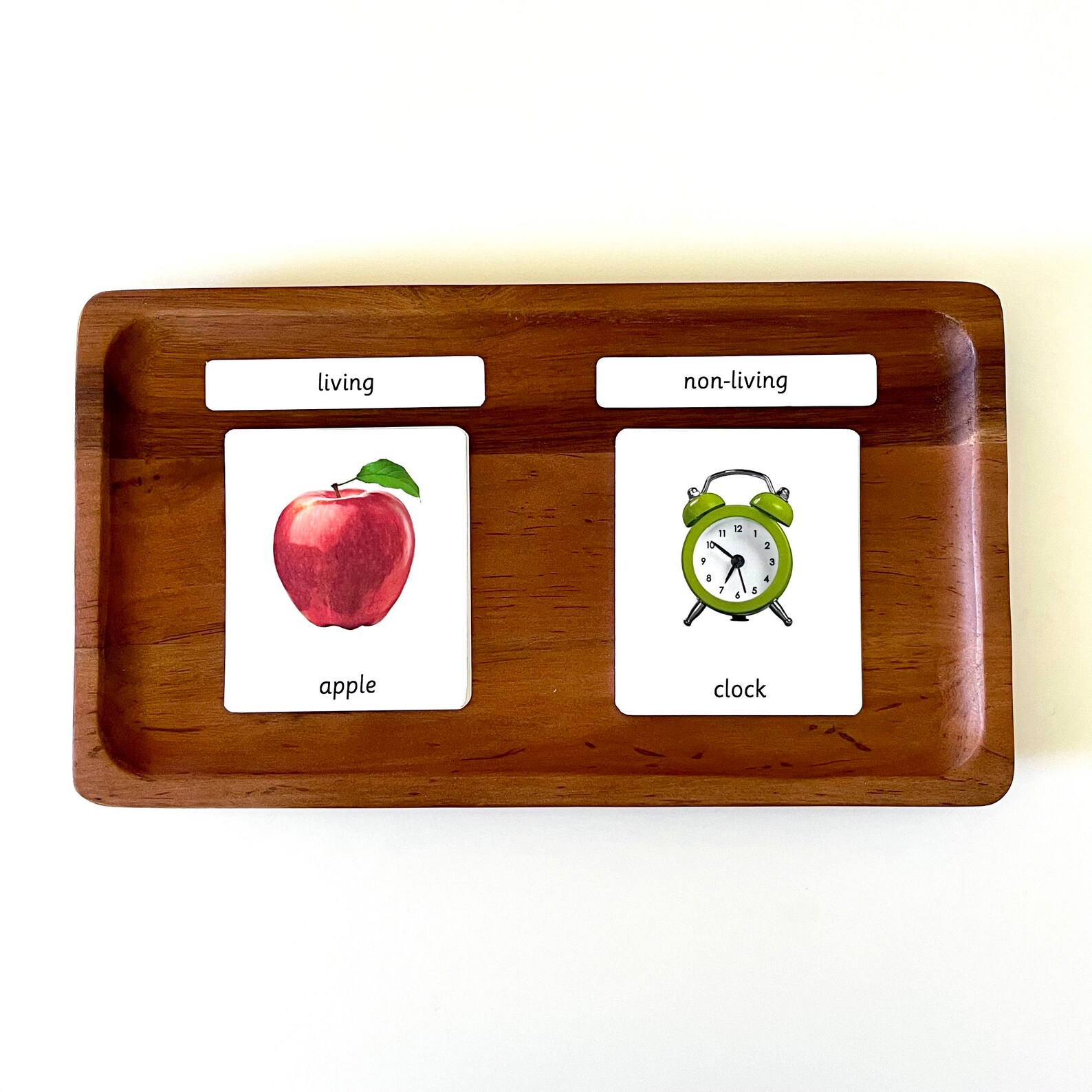 Montessori Classification Cards - Living & Non-living - Etsy