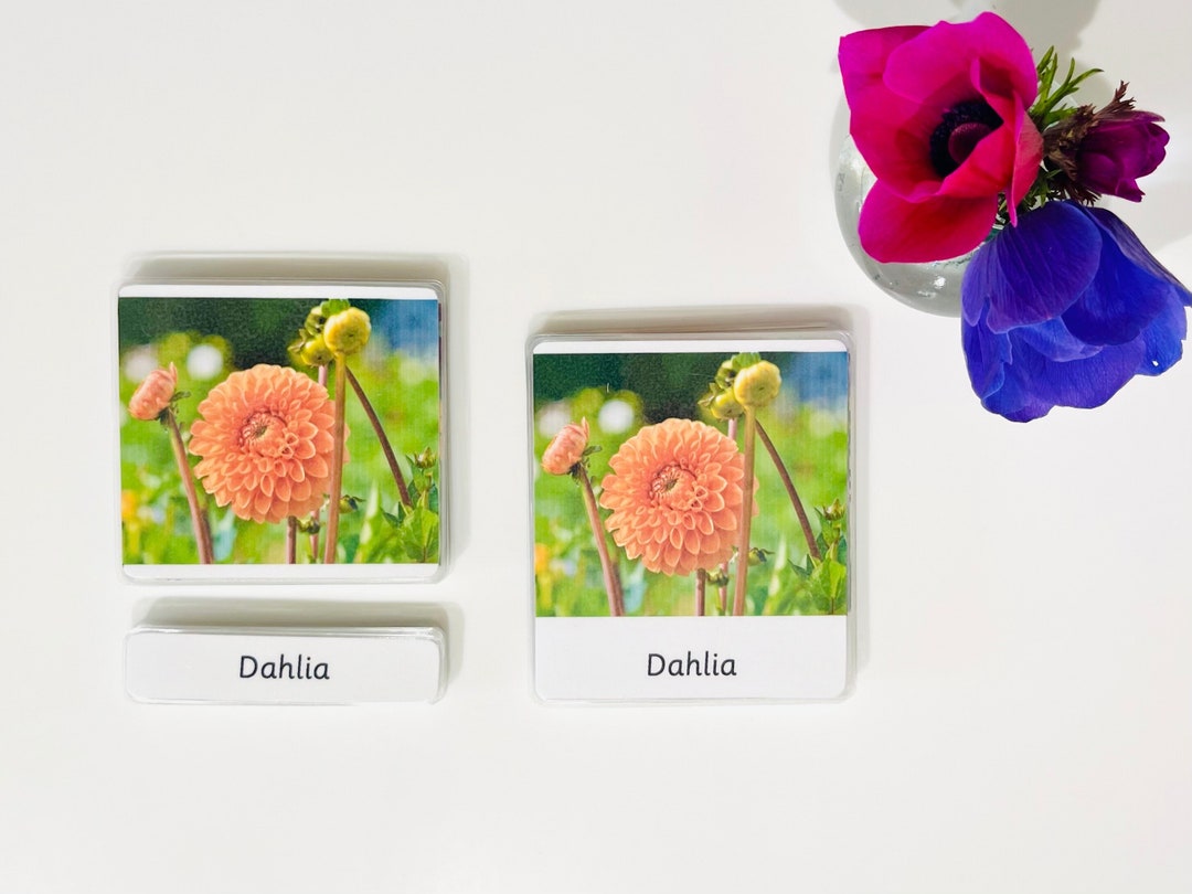 Montessori 3 Part Cards Flowers - Etsy