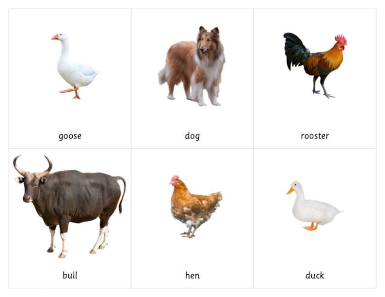 Farm Montessori 3 Part Cards & Language Objects - Etsy