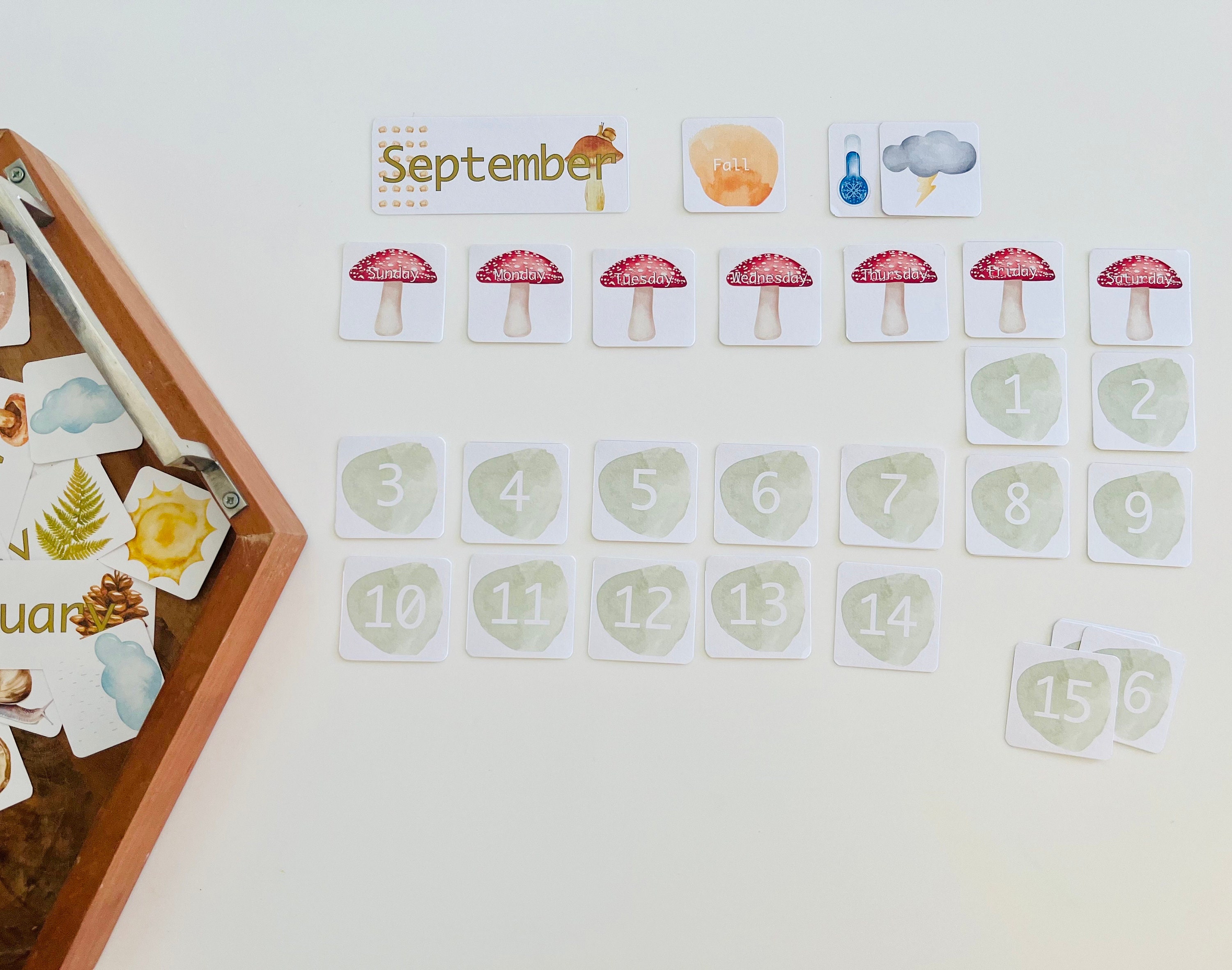 Classroom Calendar Card Set Toadstool - Etsy