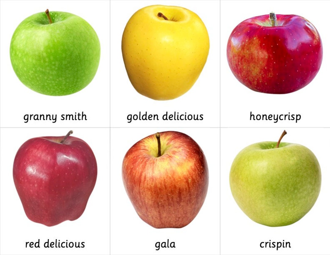 Montessori 3 Part Cards - Types of Apples - Etsy Canada