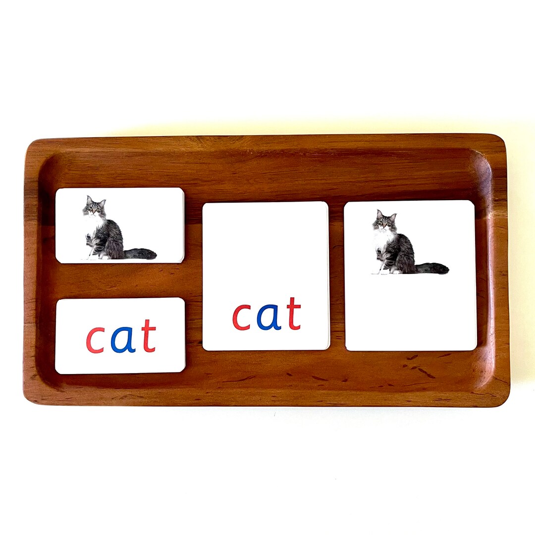 Montessori Phonetic Language Cards - Pink Series - Etsy