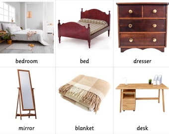 Parts of a Honey Bee Nomenclature 3-part Cards Montessori Zoology ...