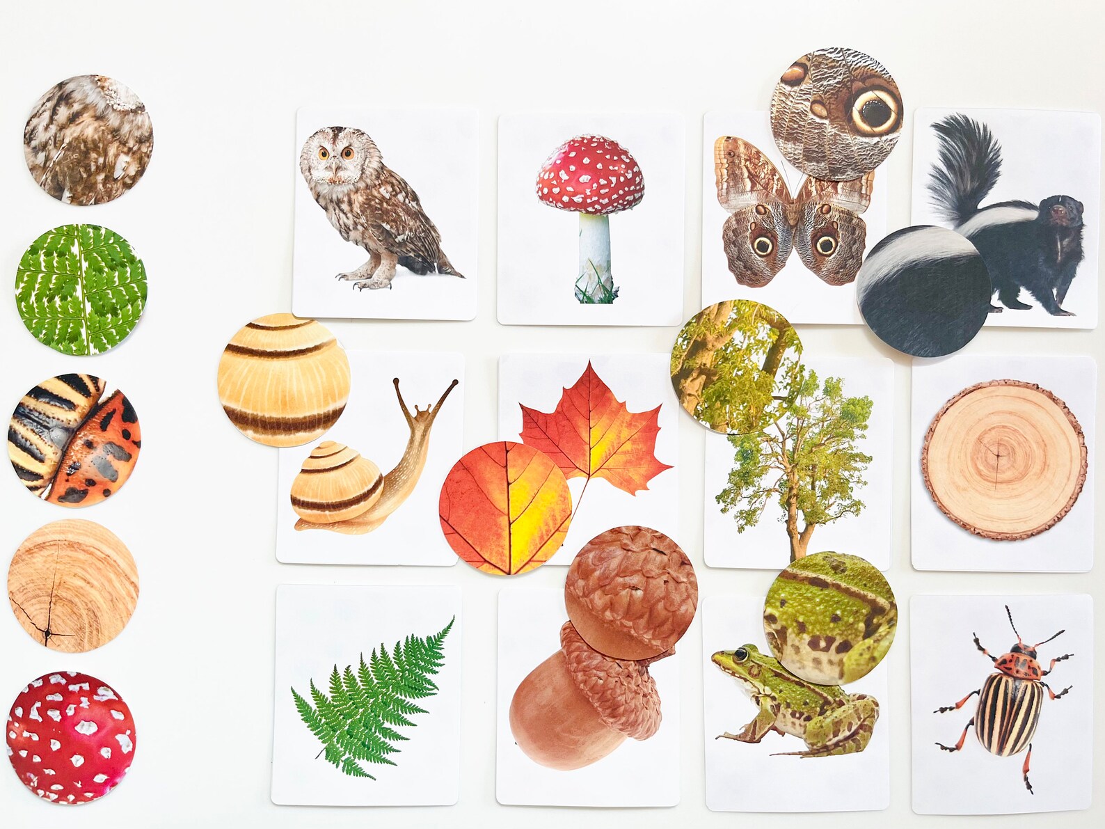 Woodland Magnified Matching Cards - Etsy