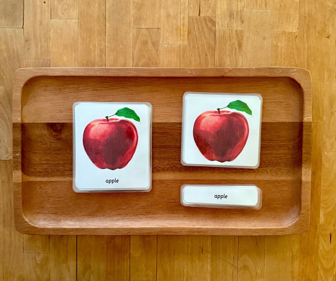 Parts of an Apple Montessori 3 Part Cards - Etsy