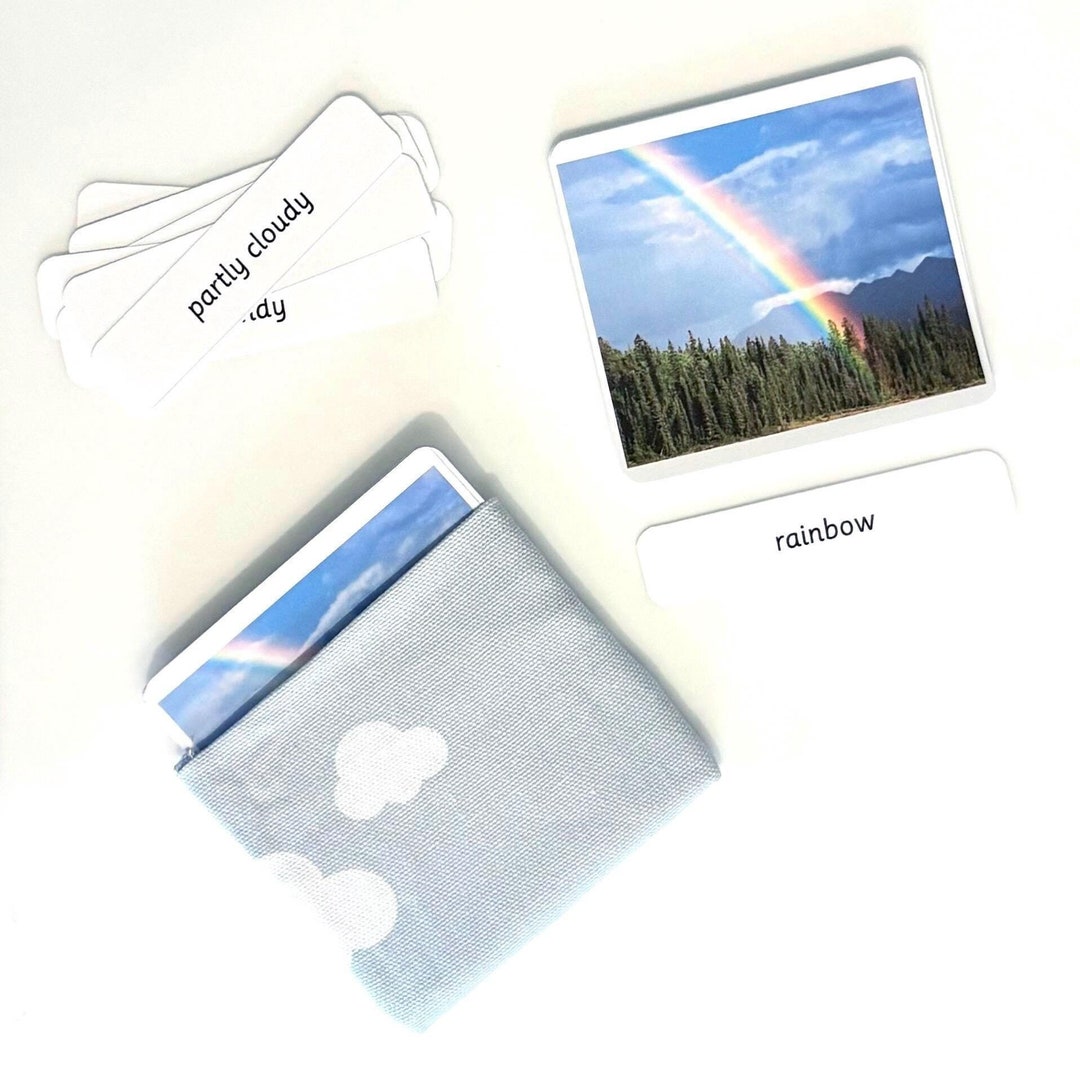 Weather Montessori 3 Part Cards - Etsy