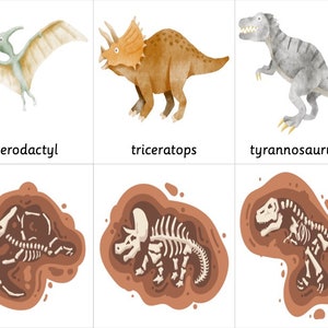 Dinosaur Fossil Identification Cards - Etsy