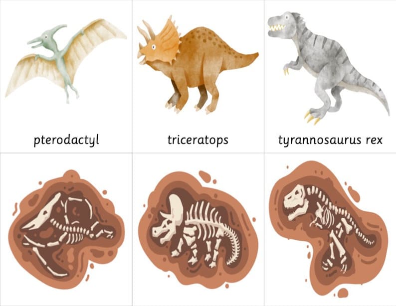 Dinosaur Fossil Identification Cards - Etsy