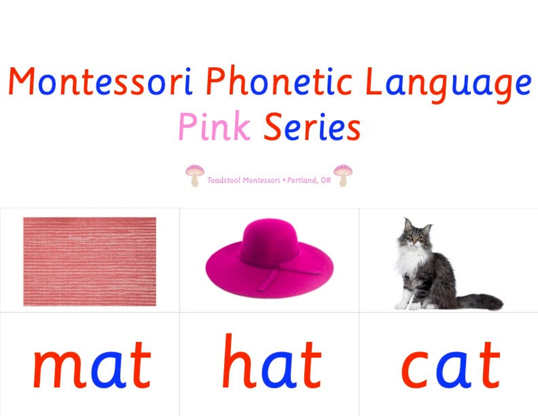 Montessori Phonetic Language Cards Pink Series - Etsy