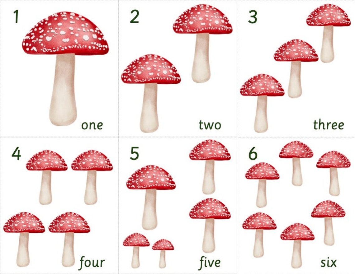 Toadstool Number Cards - Etsy