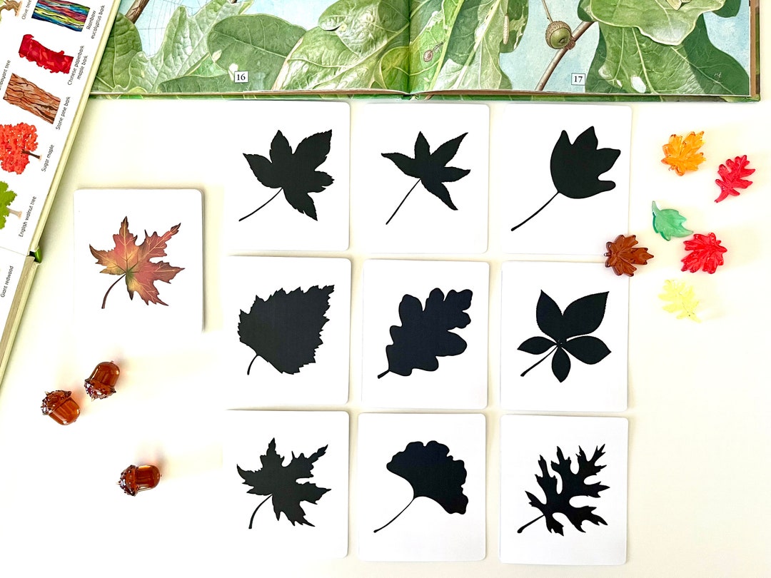 Leaf Silhouette Matching Cards - Etsy