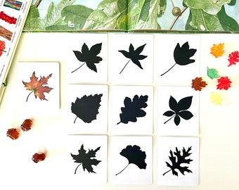 Leaf Silhouette Matching Cards - Etsy
