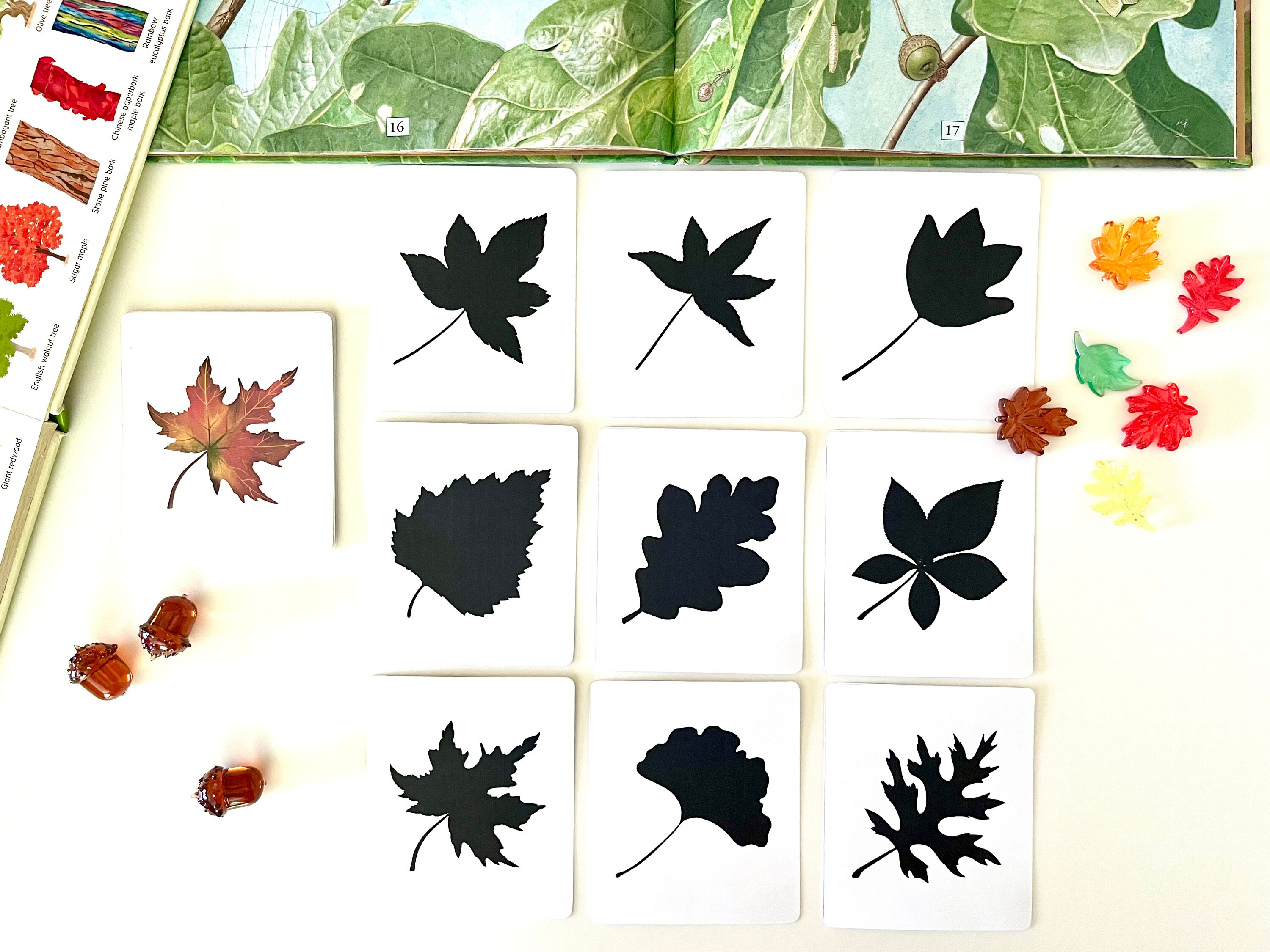 Leaf Silhouette Matching Cards - Etsy