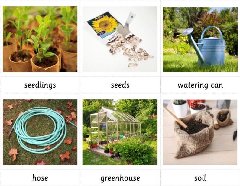 Garden - Montessori 3 Part Cards - Etsy
