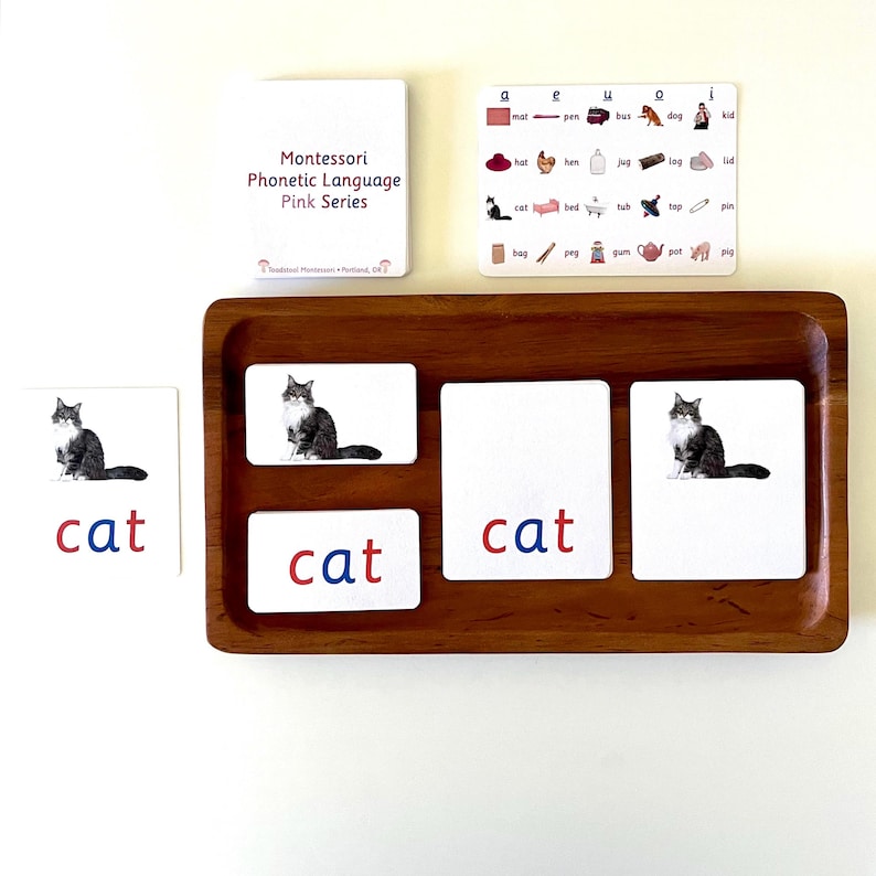 Montessori Phonetic Language Cards - Pink Series - Etsy