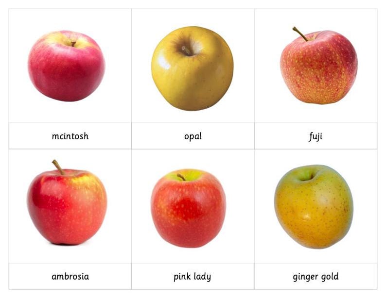 Types of Apples Montessori 3 Part Cards - Etsy