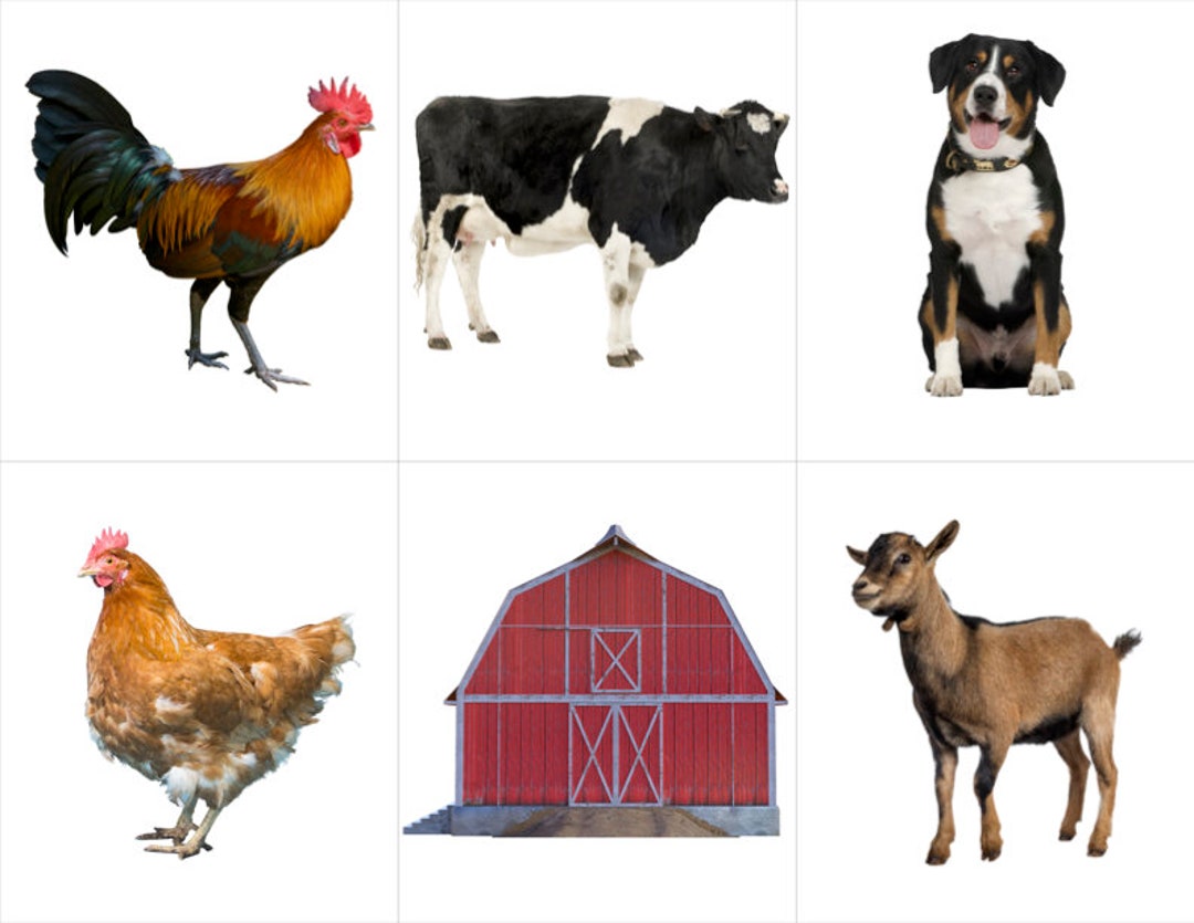 Montessori Toddler Language Cards Farm - Etsy