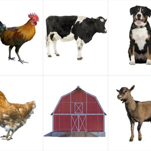 Montessori Toddler Language Cards - Farm - Etsy