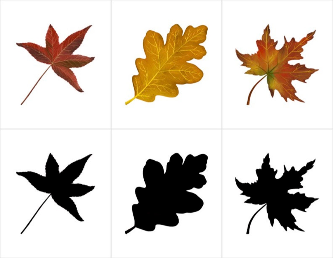 Leaf Silhouette Matching Cards - Etsy
