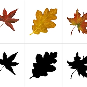 Leaf Silhouette Matching Cards - Etsy