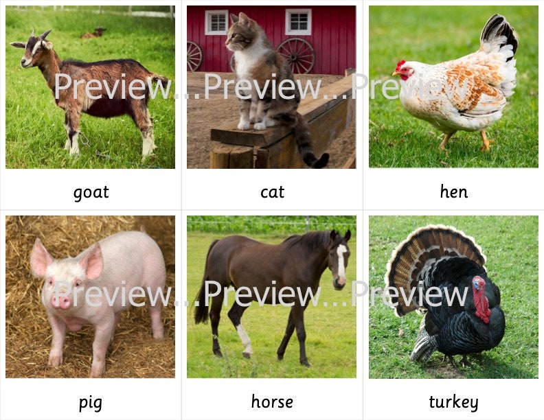 Montessori 3 Part Cards - Farm Animals - Etsy