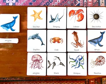 Montessori 3 Part Cards Seashells - Etsy
