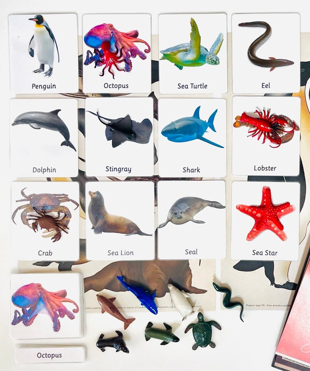 Montessori Ocean 3 Part Cards With Animal Objects - Etsy