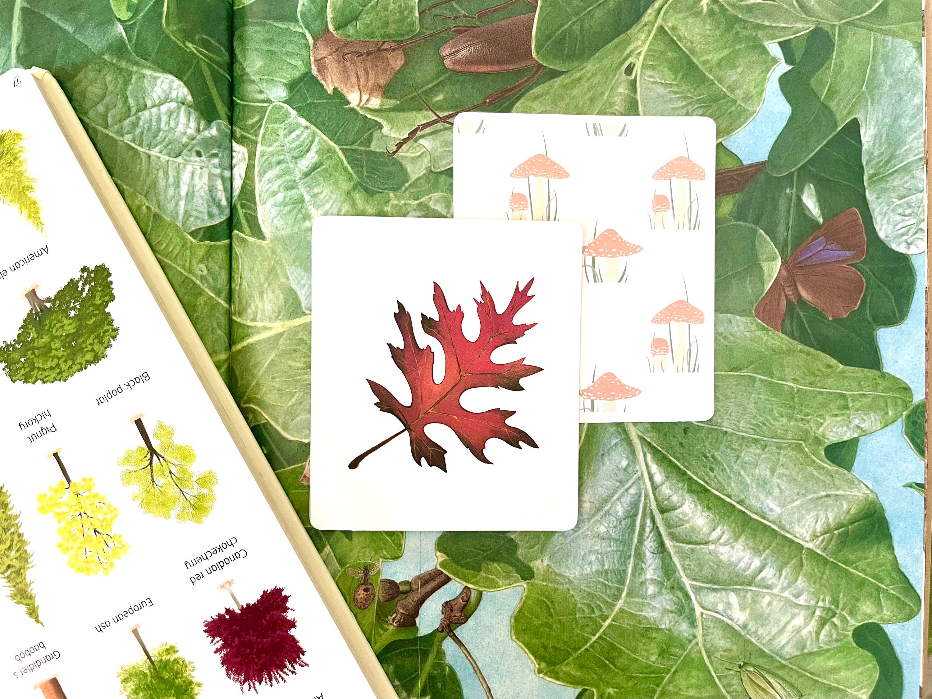 Leaf Silhouette Matching Cards - Etsy