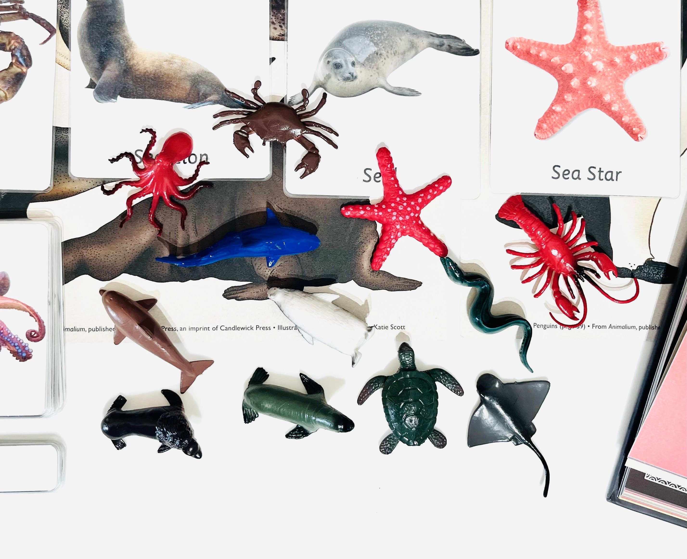 Montessori Ocean 3 Part Cards With Animal Objects - Etsy