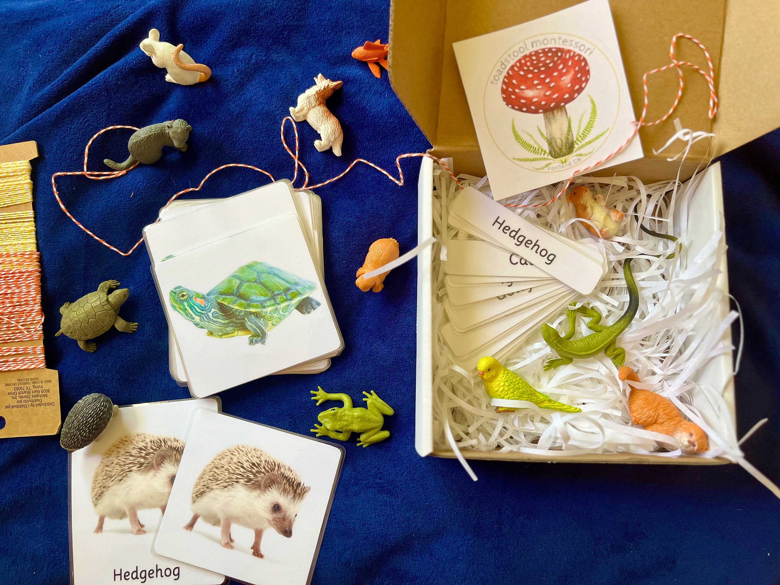 Montessori 3 Part Cards With Objects Pets - Etsy