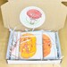 Parts of a Pumpkin Montessori 3 Part Cards - Etsy