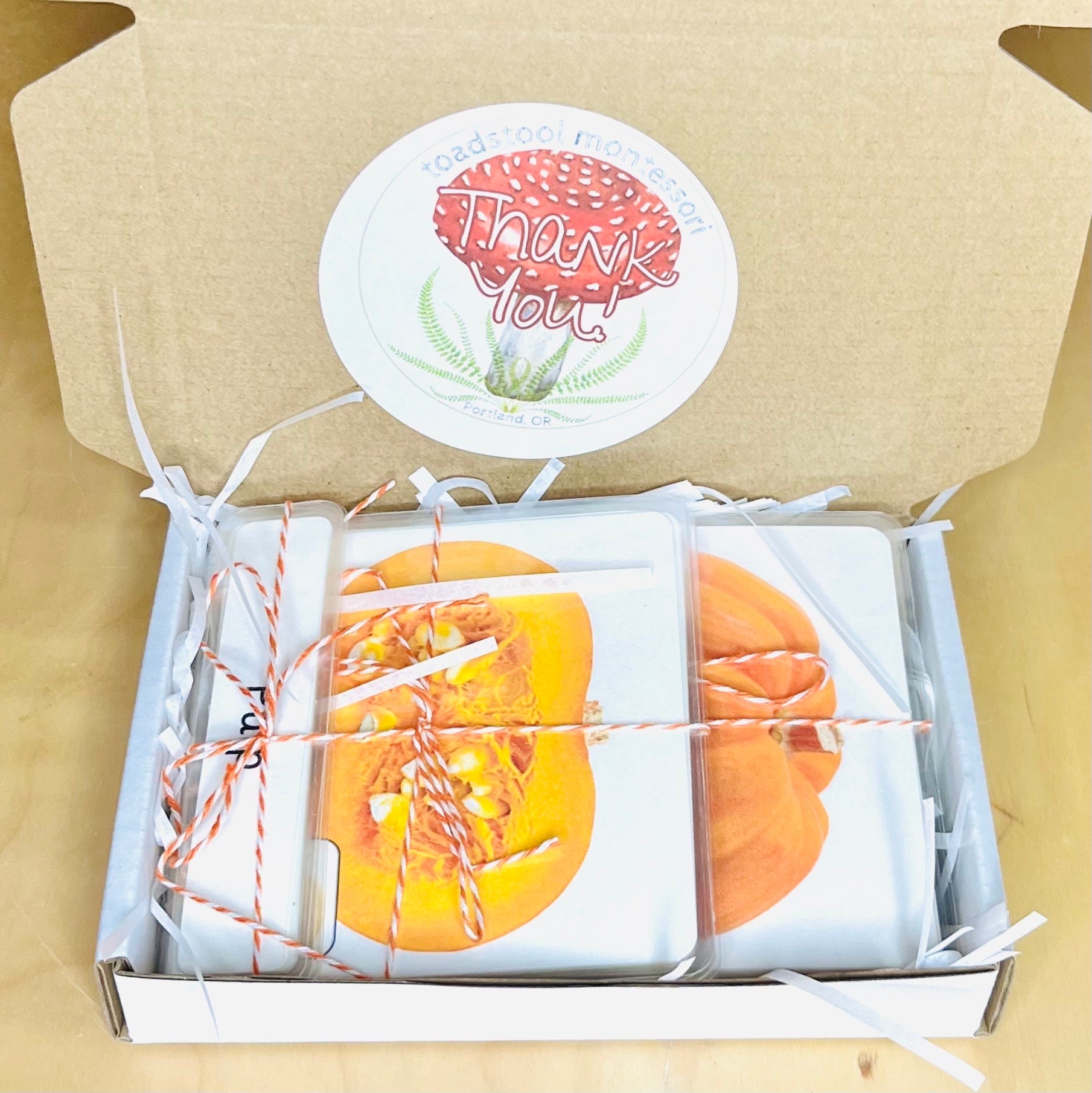 Parts of a Pumpkin Montessori 3 Part Cards - Etsy