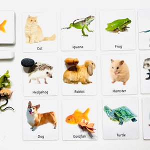 Montessori 3 Part Cards With Objects Pets - Etsy