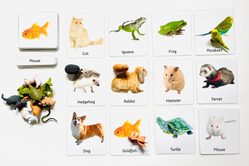 Montessori 3 Part Cards With Objects Pets - Etsy