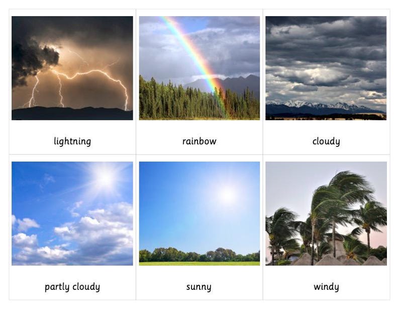 Weather Montessori 3 Part Cards - Etsy