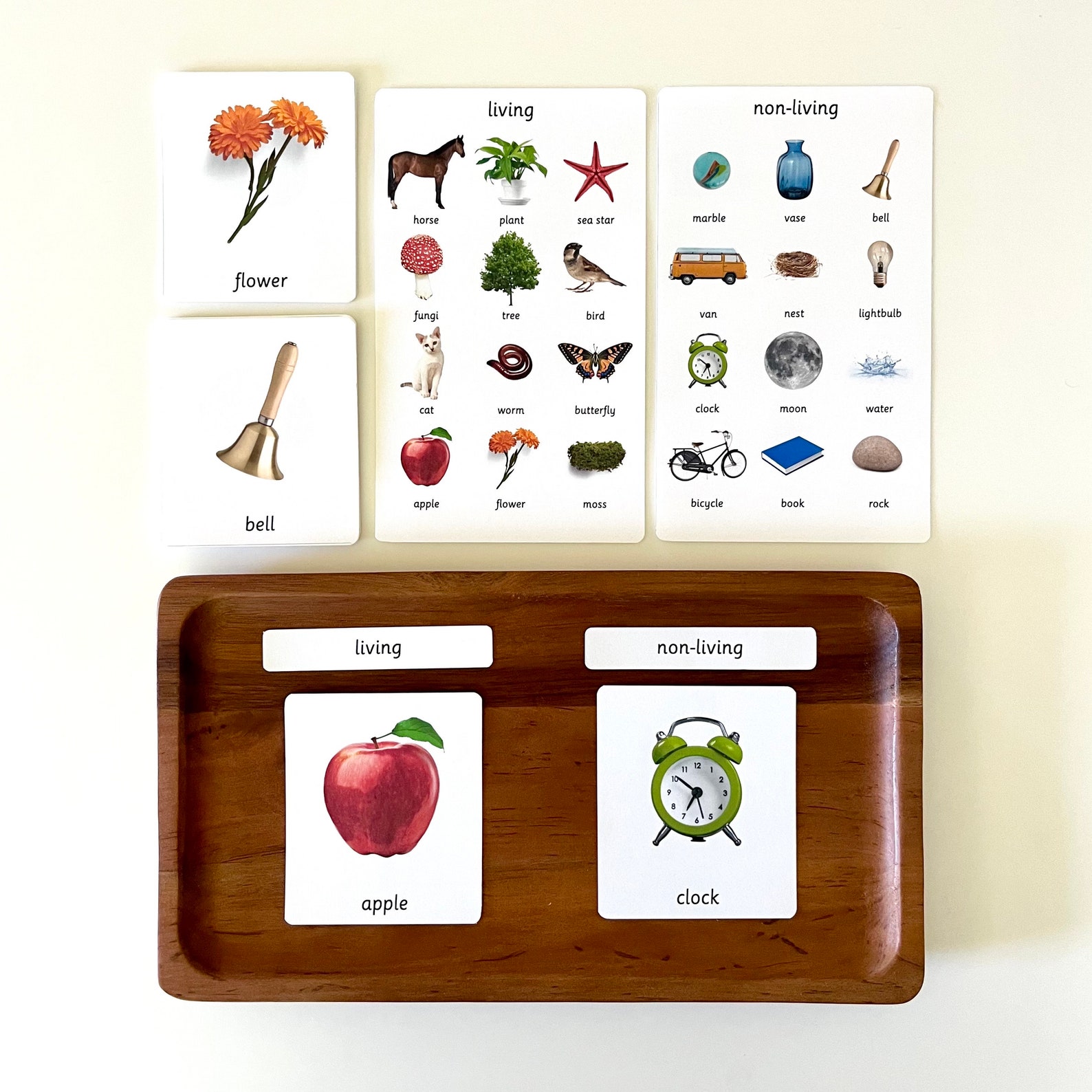 Montessori Classification Cards - Living & Non-living - Etsy