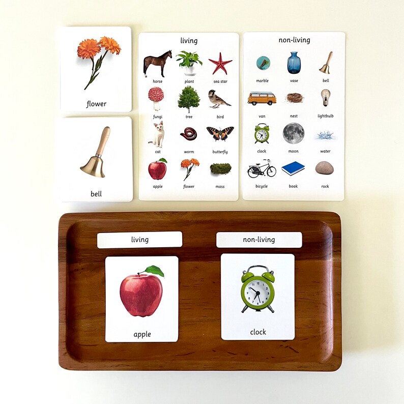 Montessori Classification Cards - Living & Non-living - Etsy