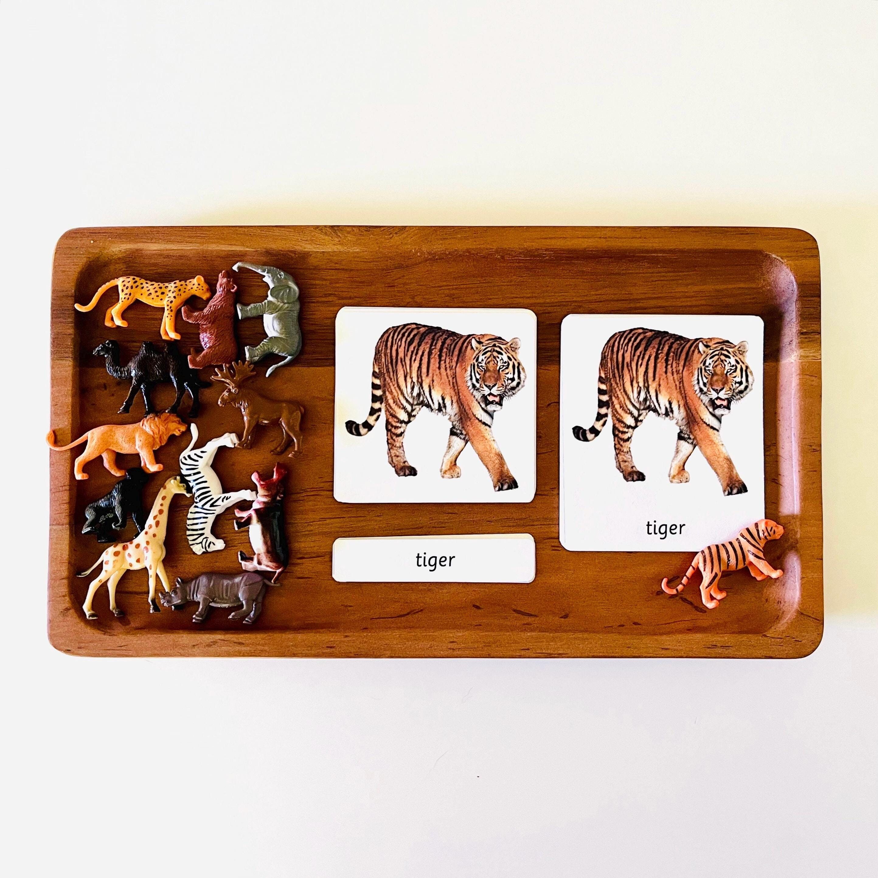 Types of Mammals Montessori 3 Part Cards & Language Objects - Etsy