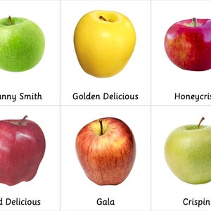 Montessori 3 Part Cards Types of Apples - Etsy
