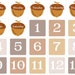 Classroom Calendar Card Set - Autumn Woodland - Etsy