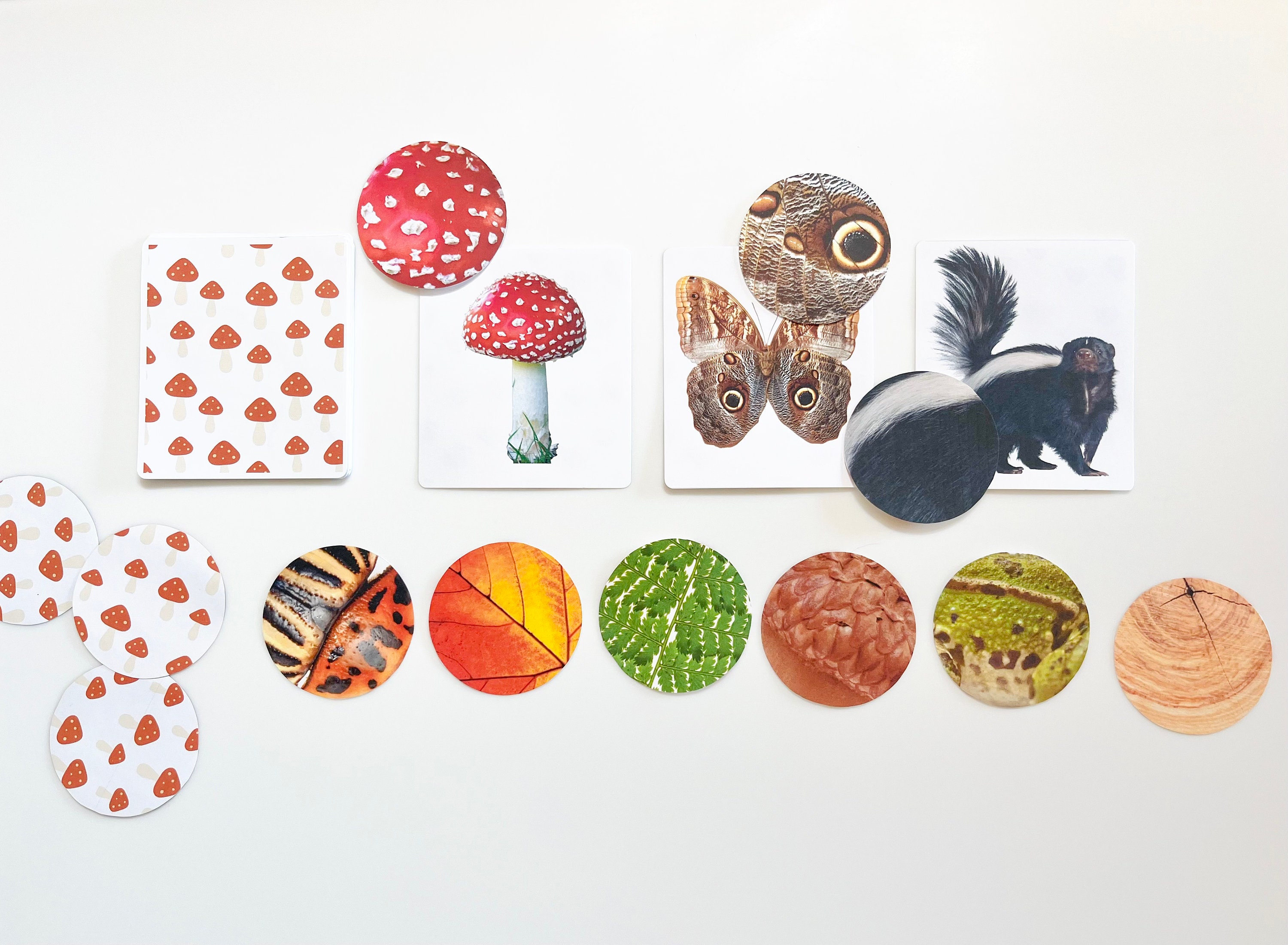 Woodland Magnified Matching Cards - Etsy